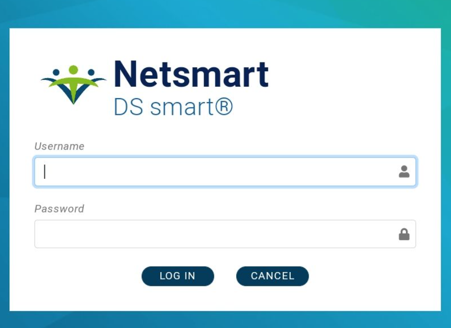 Netsmart UAT Mode – DS smart®